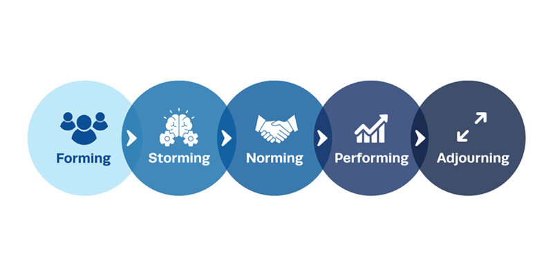 Unlocking Team Effectiveness: 7 Models for High-Performance Teams ...