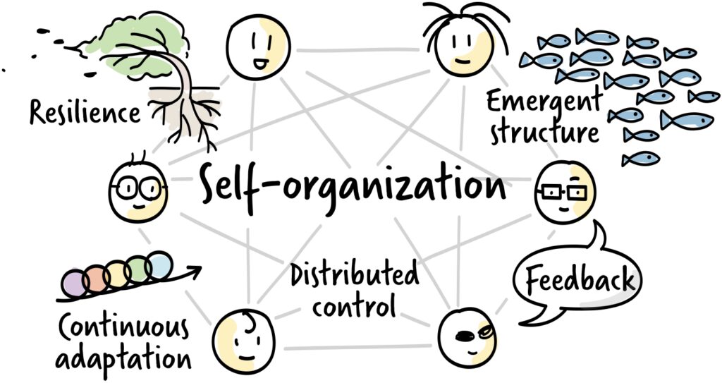 Mastering Self-Organizing Teams: Expert Guidance - Resilient organizations